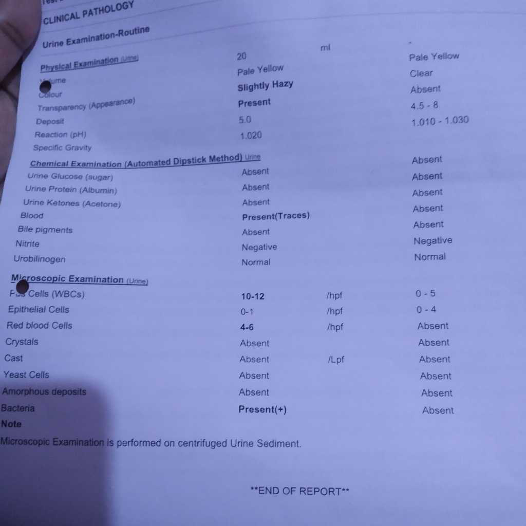 #AskDoctors hi sir ma son 6 month this is the urine routine examination ...