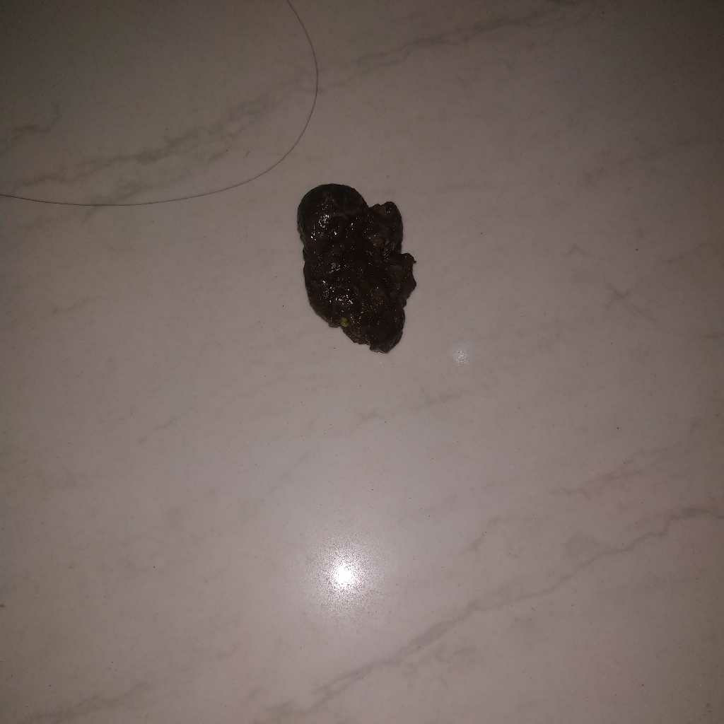 is eating jamun fruit change colour of poop in toddler? like dark ...