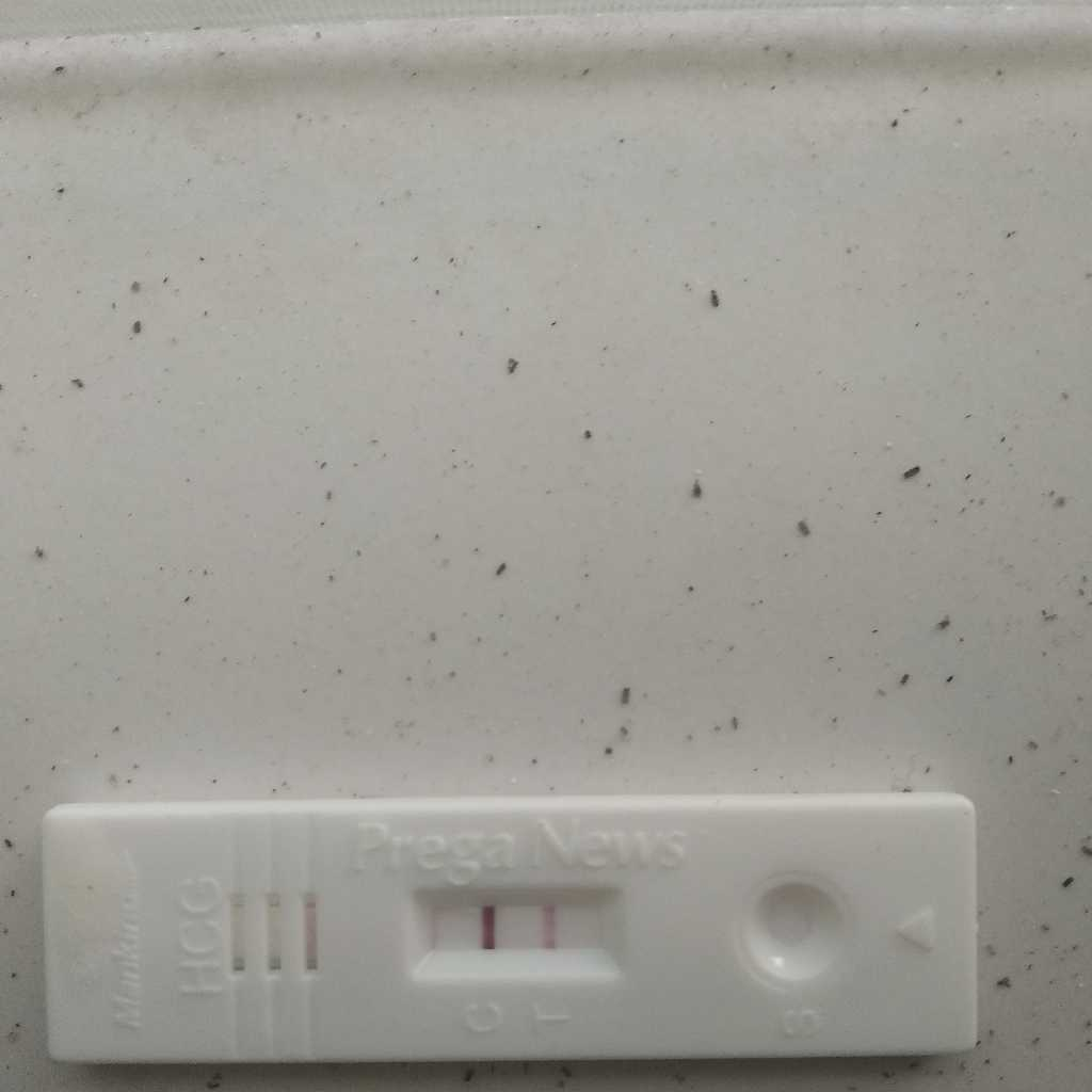 I conducted my UPT test today and showing a faint line. Does it mean ...