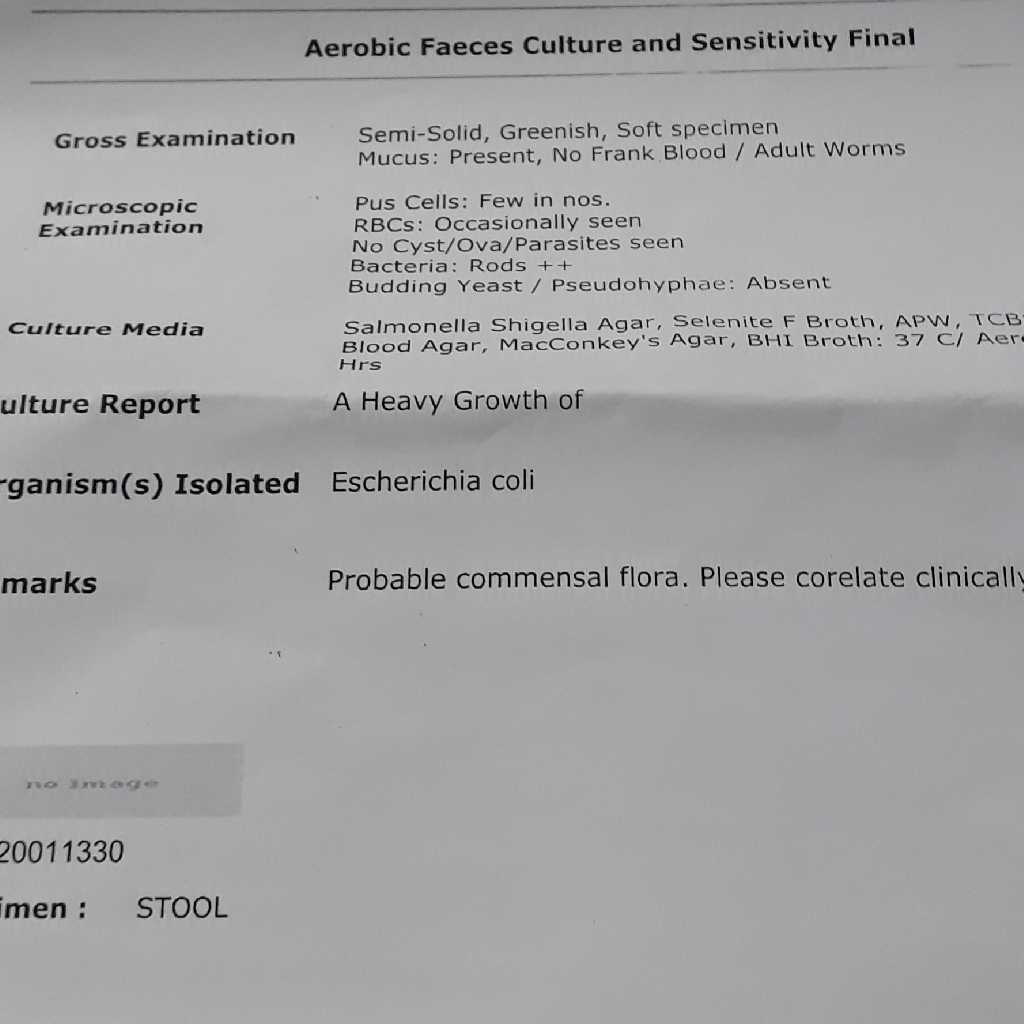 Stool Examination Report Format at Mary Bilbo blog