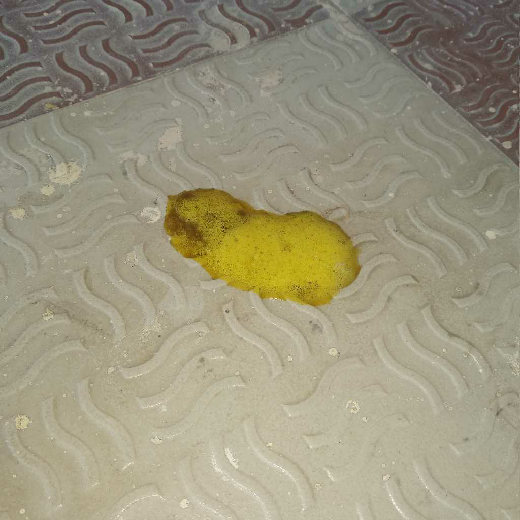 hi my 2 week old baby boy have foamy and frothy stool what may be the ...